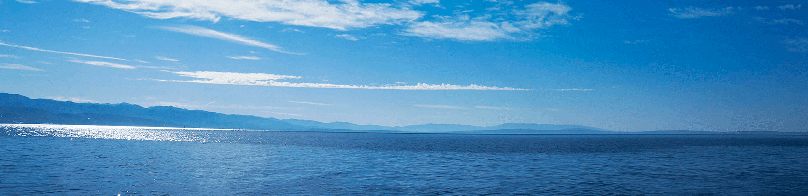 Our Team - SkyWater Search